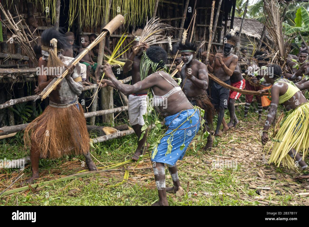 Indonesia, Papua, Asmat district, Per village, pole ceremony Stock ...