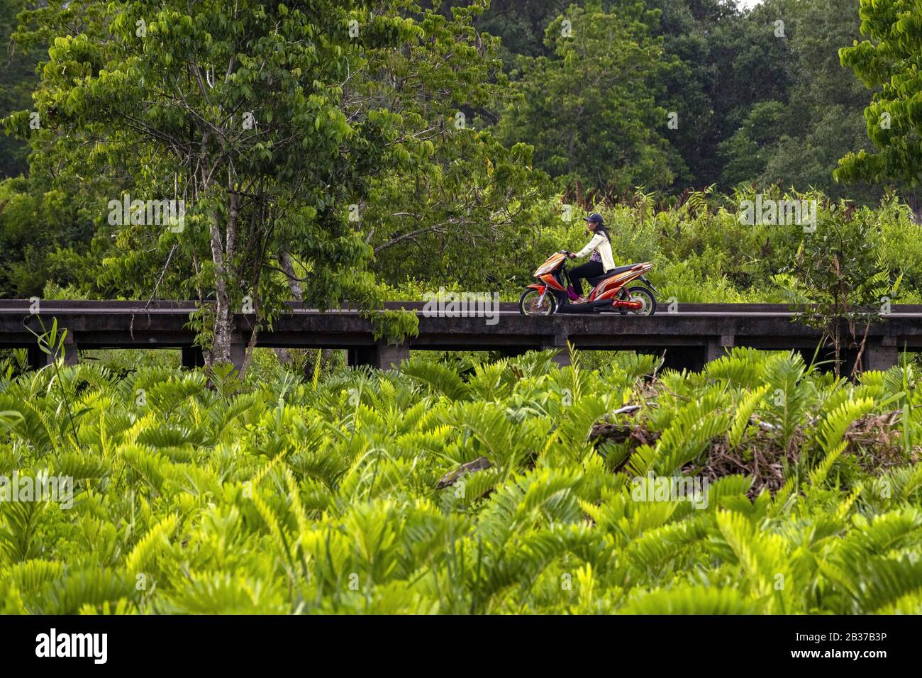 Indonesia, Papua, Asmat district, Agats Stock Photo - Alamy