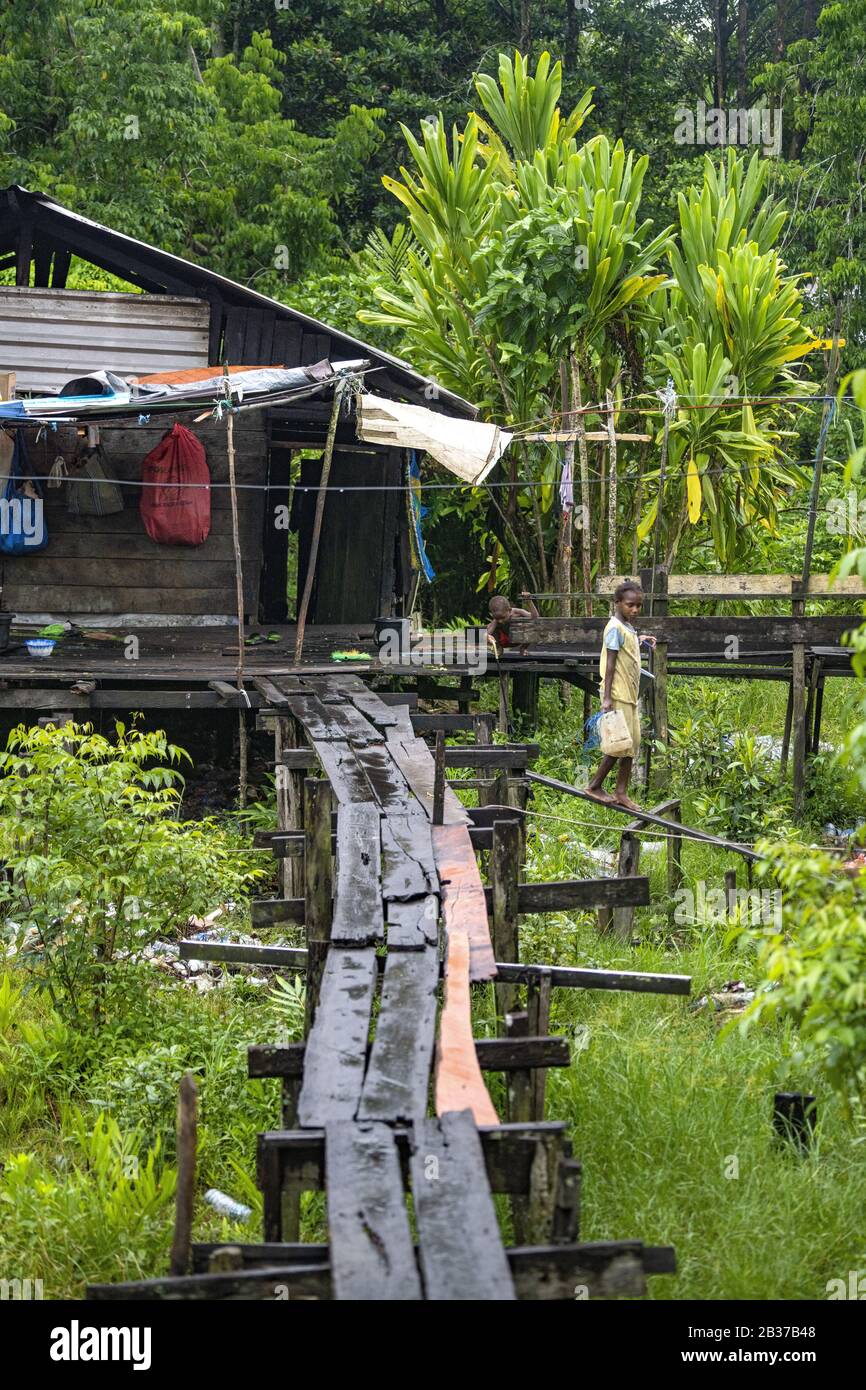 Indonesia, Papua, Asmat district, Agats Stock Photo - Alamy