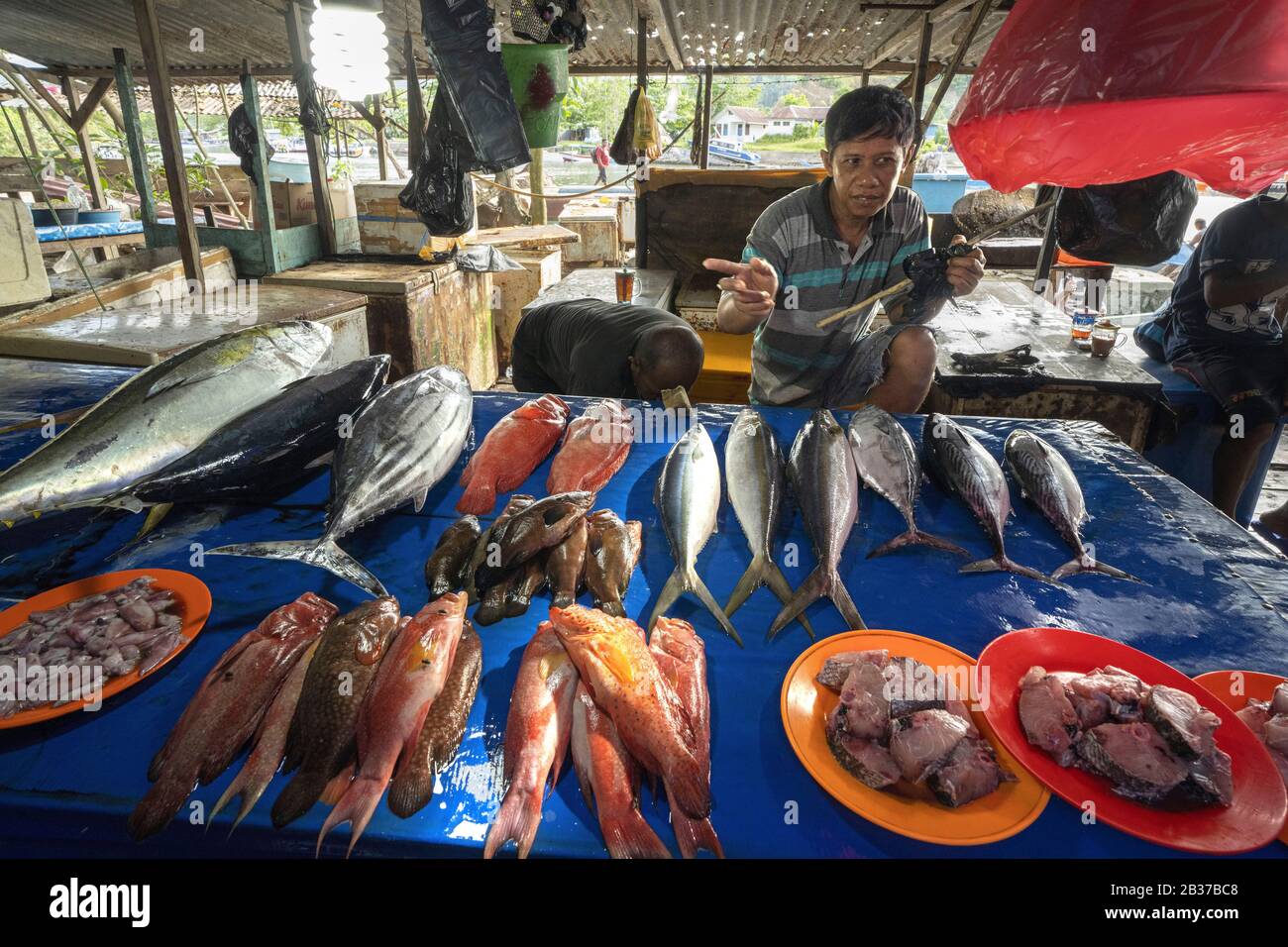 Waisai High Resolution Stock Photography and Images - Alamy