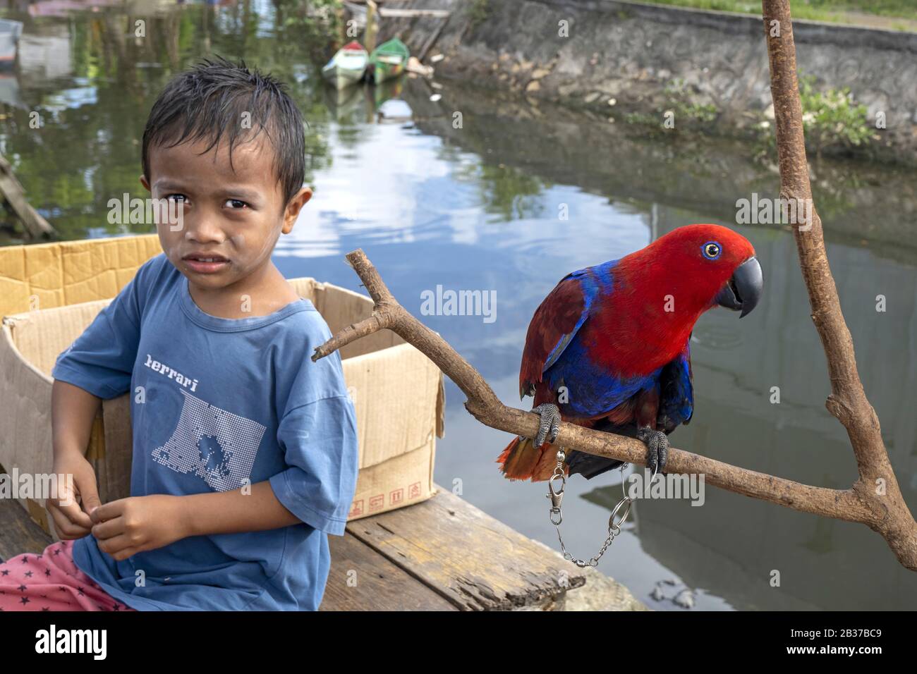Indonesia, Papua, Raja Ampat, Waisai Stock Photo - Alamy