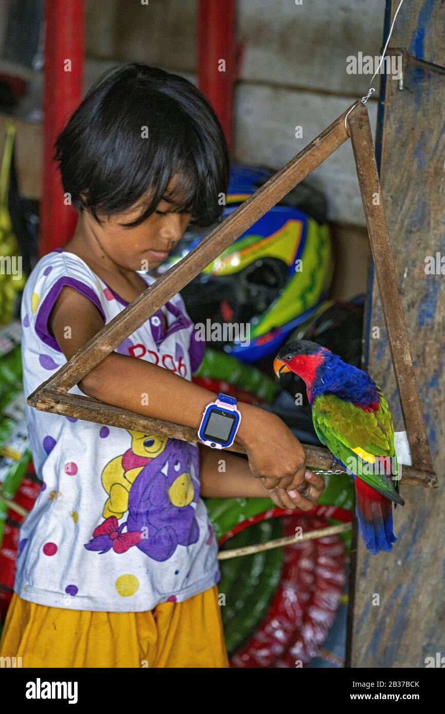 Indonesia, Papua, Raja Ampat, Waisai Stock Photo - Alamy