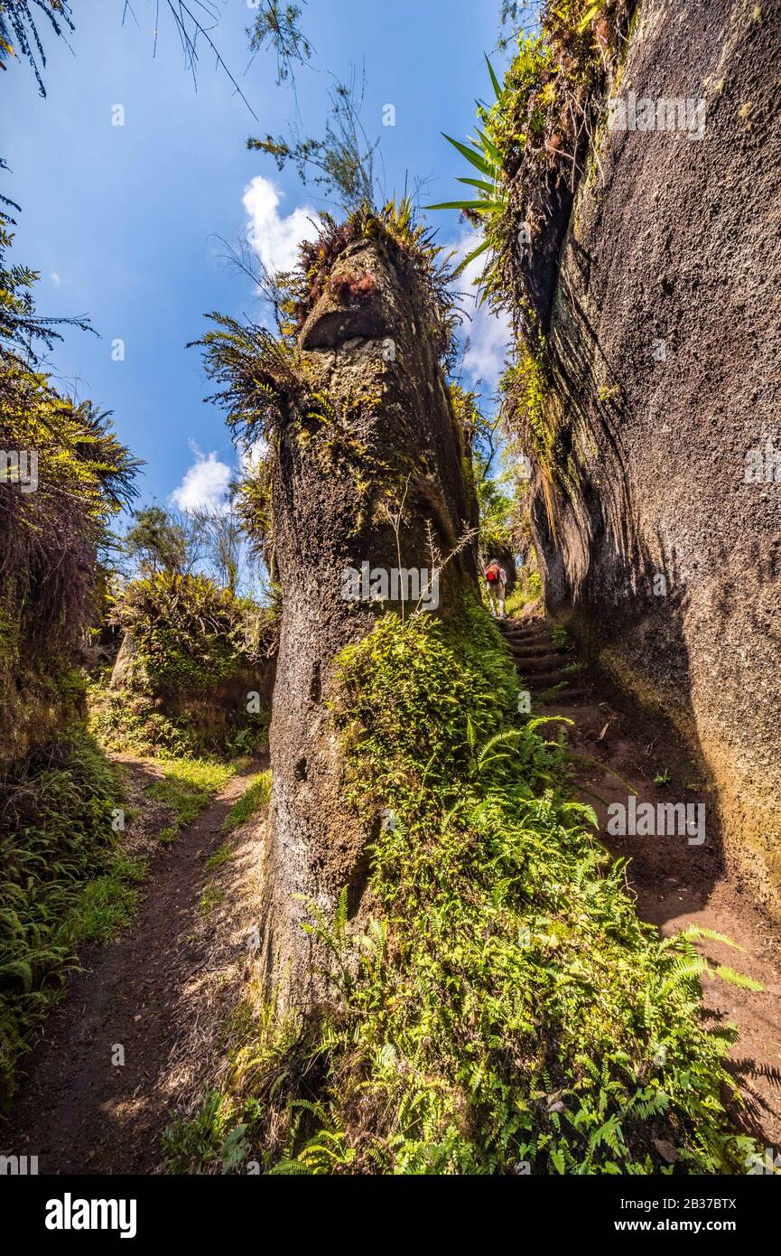 Ecuador, Galapagos Archipelago, classified as World Heritage by UNESCO ...