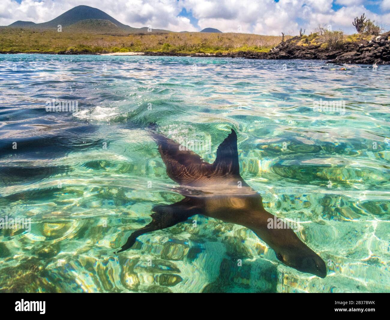 Ecuador, Galápagos Archipelago, World Heritage Site by UNESCO, Santa ...