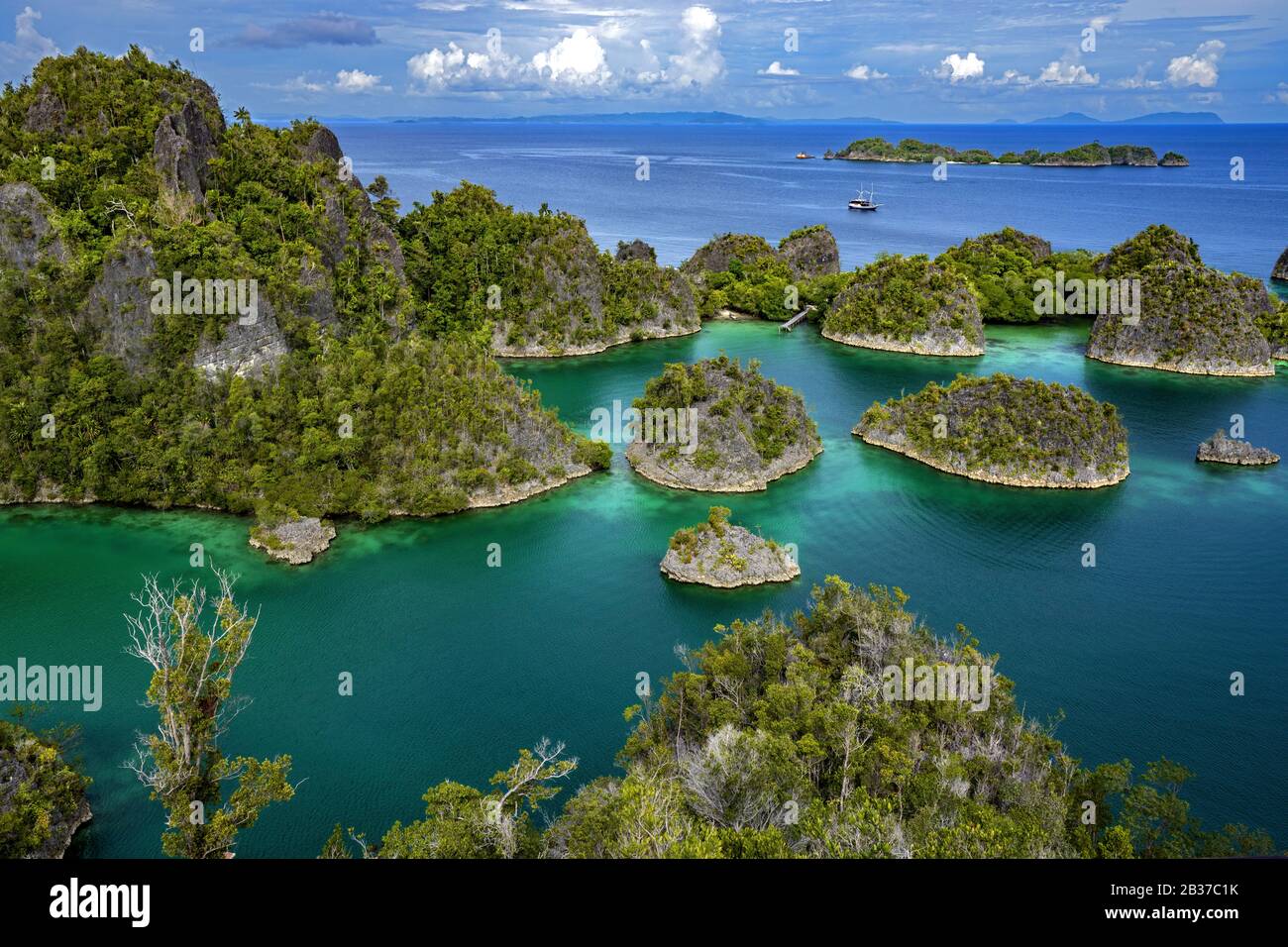 Pianemo hi-res stock photography and images - Alamy