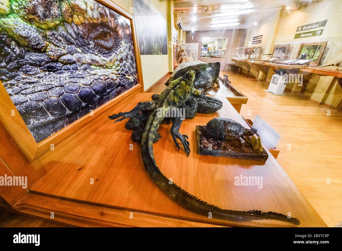 Ecuador, Galapagos archipelago, listed as World Heritage by UNESCO ...