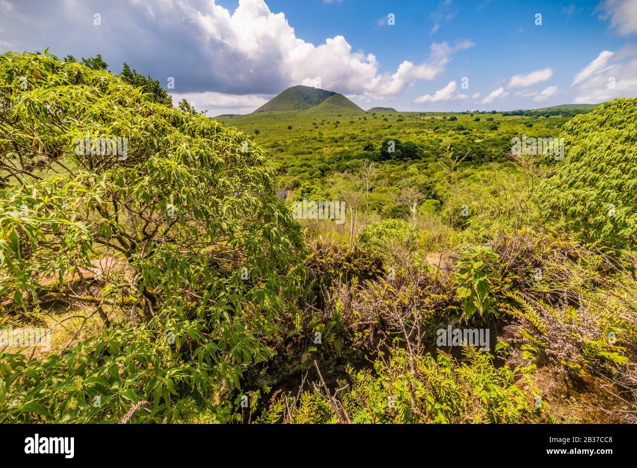 Ecuador, Galapagos Archipelago, classified as World Heritage by UNESCO ...