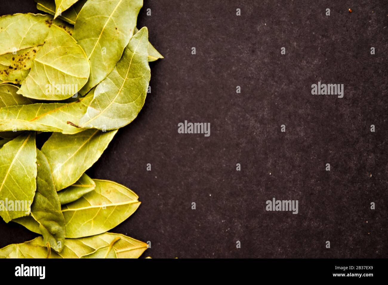 Photo of closeup green texture of bay leaf on black background, top ...