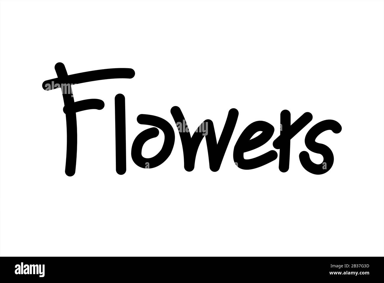 Flowers. Handwritten Word Lettering Vector Image Isolated on white ...