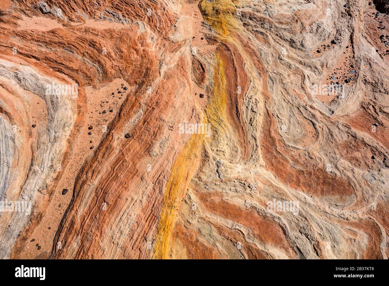 Hiking in Vermillion Cliffs National Moument's White Pocket - the best ...