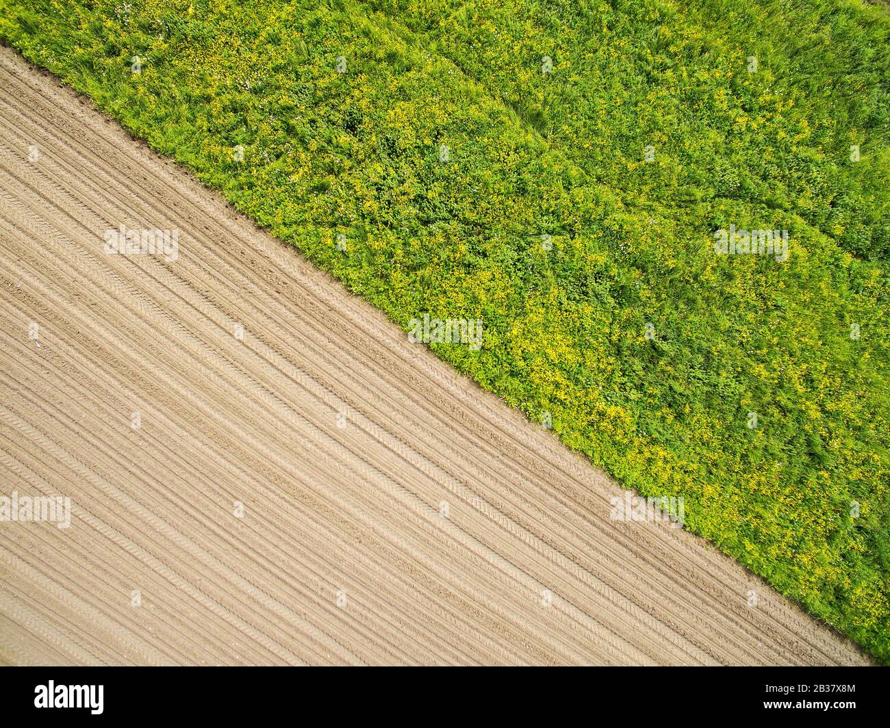aerial view of plowed field and green meadow Stock Photo - Alamy