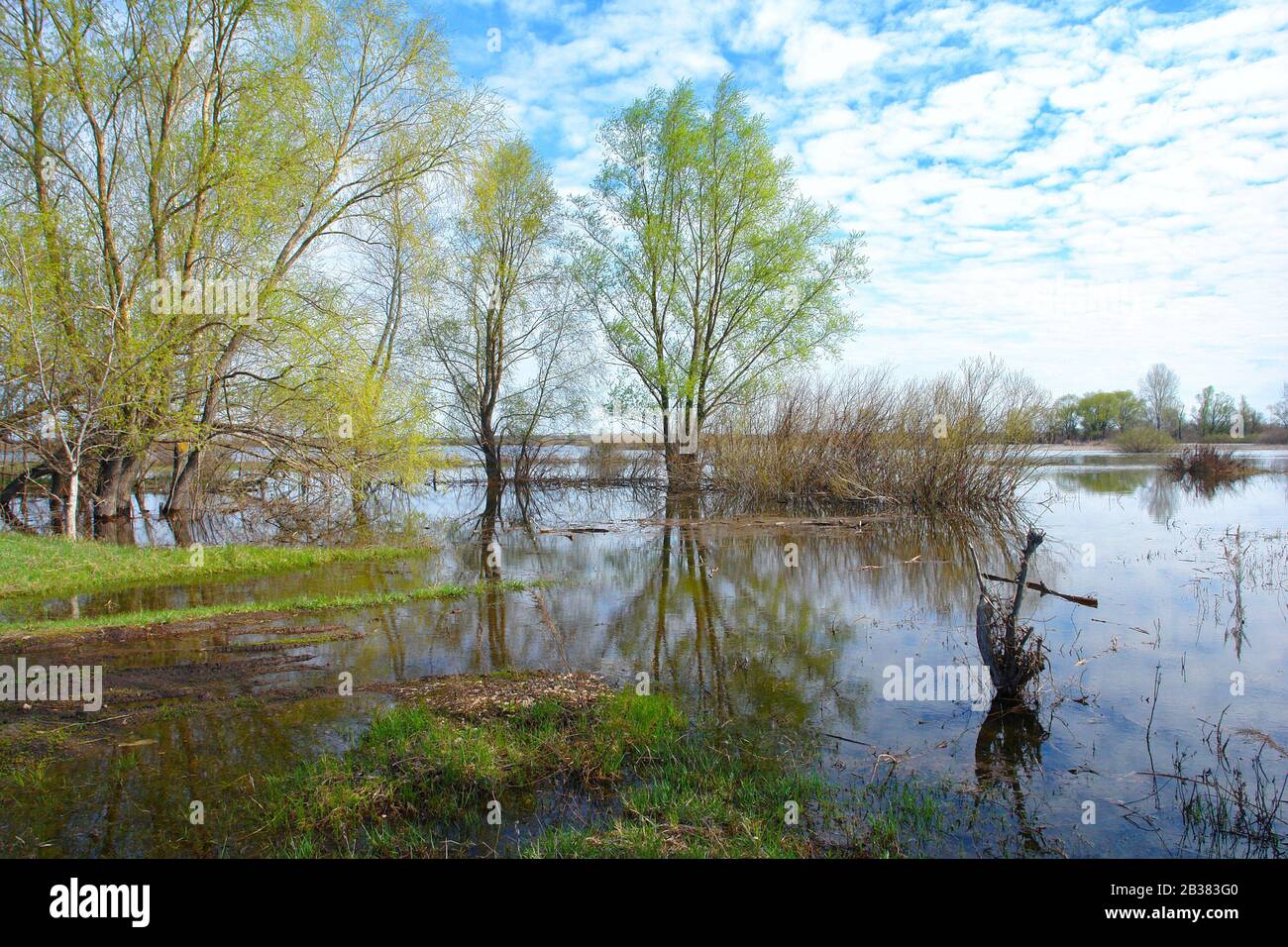 Spring flood on the river. High water. Spring landscape Stock Photo - Alamy