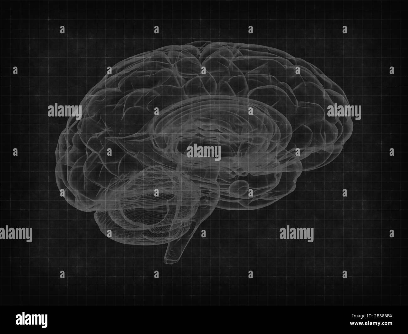 Digital brain scan on hi-res stock photography and images - Alamy