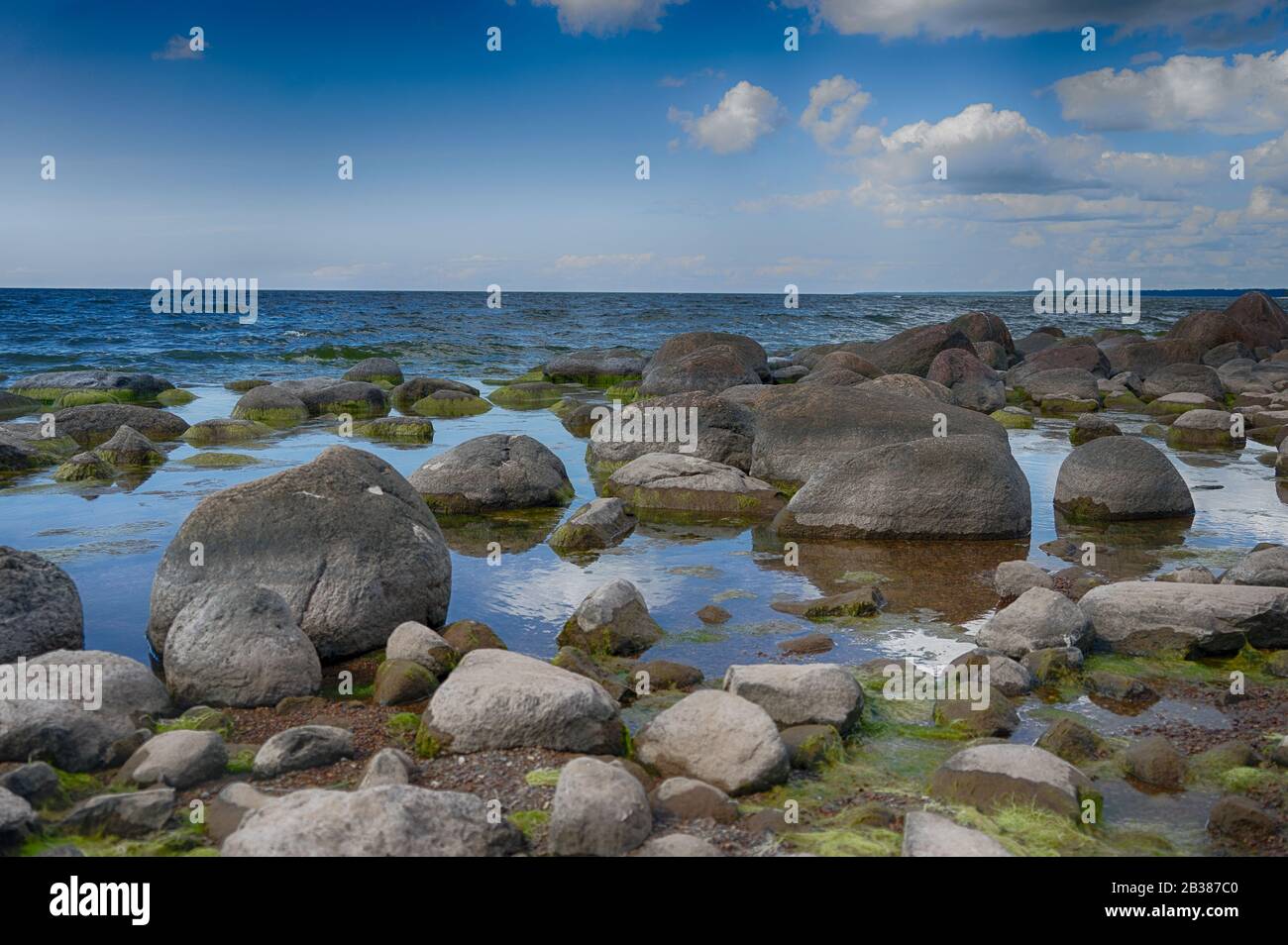 Travel near baltic beach sea in good weather Stock Photo - Alamy