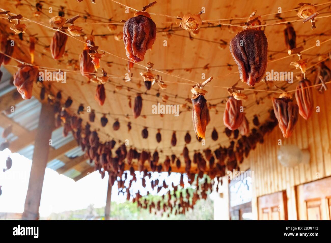 Dried persimmon suspended on a rope, air-drying dried fruits. For ...