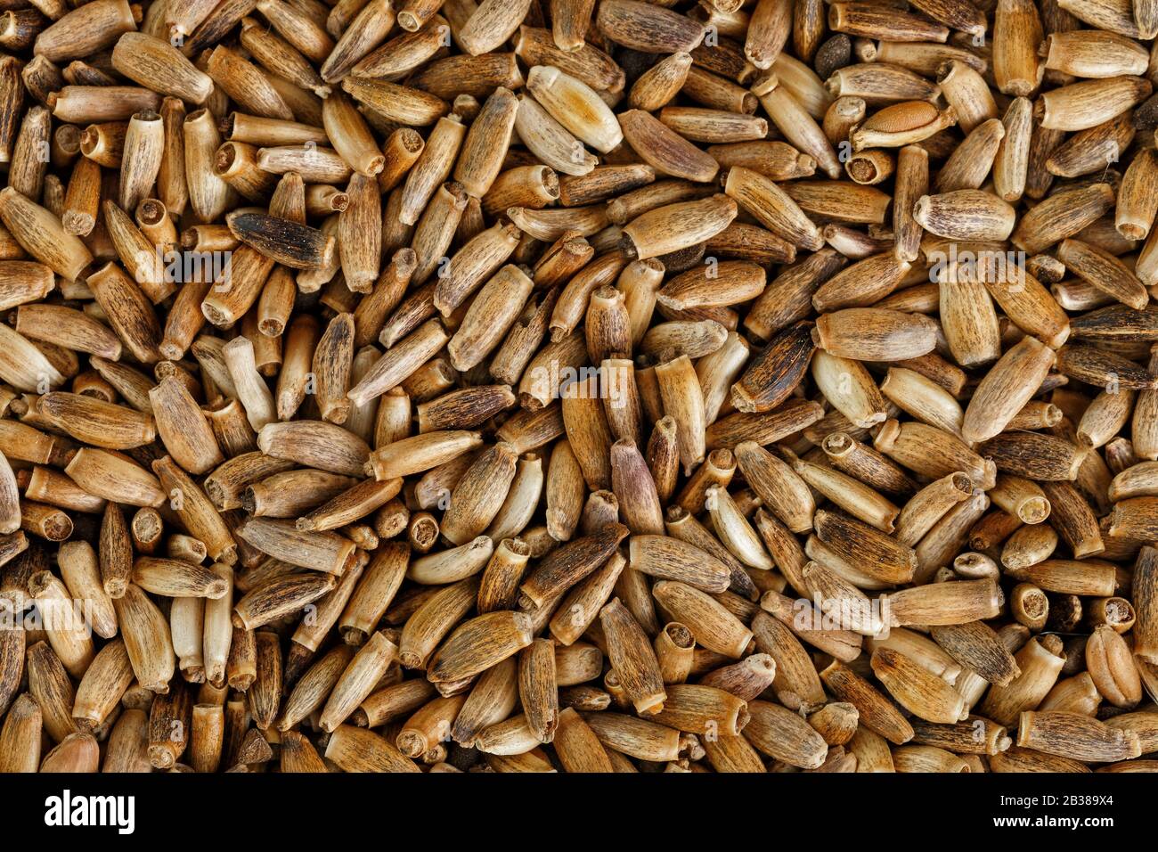 bird seed, mixed granular food for canaries and budgerigar Stock Photo ...