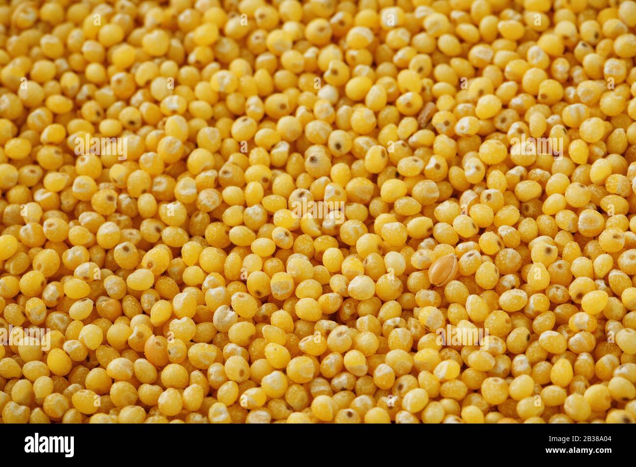 Yellow millet background. Healthy grains vegetarianism. Macro Stock ...