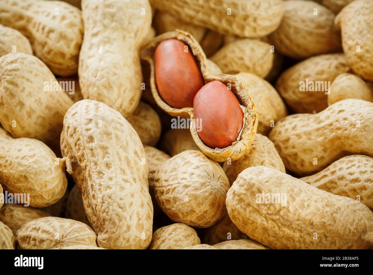 Peeled peanut on well peanuts. Uncleaned inshell peanuts. Peanuts, for ...