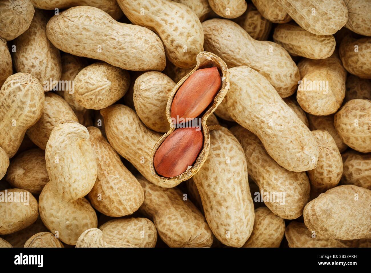 Peeled peanut on well peanuts. Uncleaned inshell peanuts. Peanuts, for ...