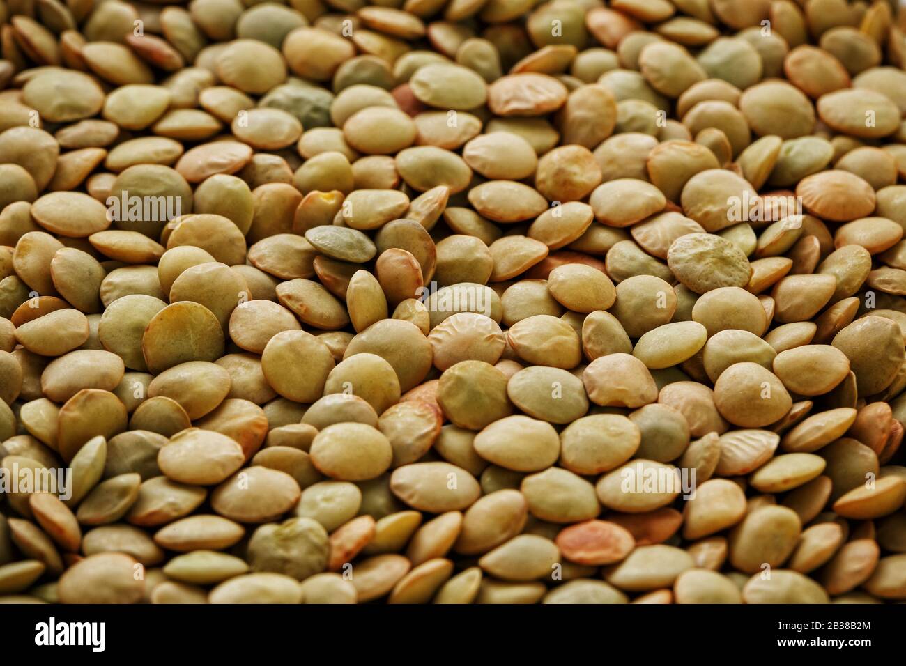 Lentils. Lentils background. Green lentils pattern. Natural organic ...