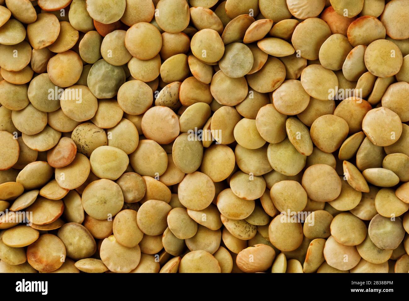 Lentils. Lentils background. Green lentils pattern. Natural organic ...