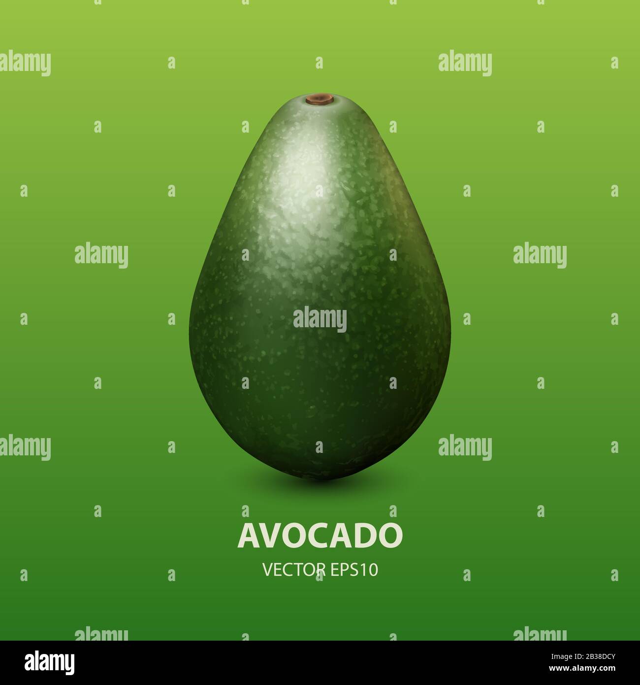 Vector 3d Realistic Whole Avocado Closeup Isolated on Green Background ...