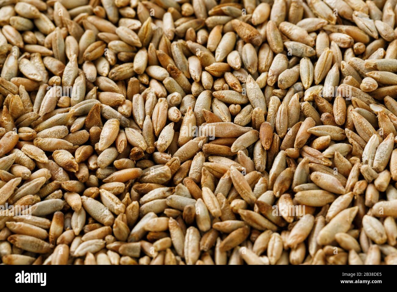 Natural oat grains background, closeup. vegetarian food Stock Photo - Alamy