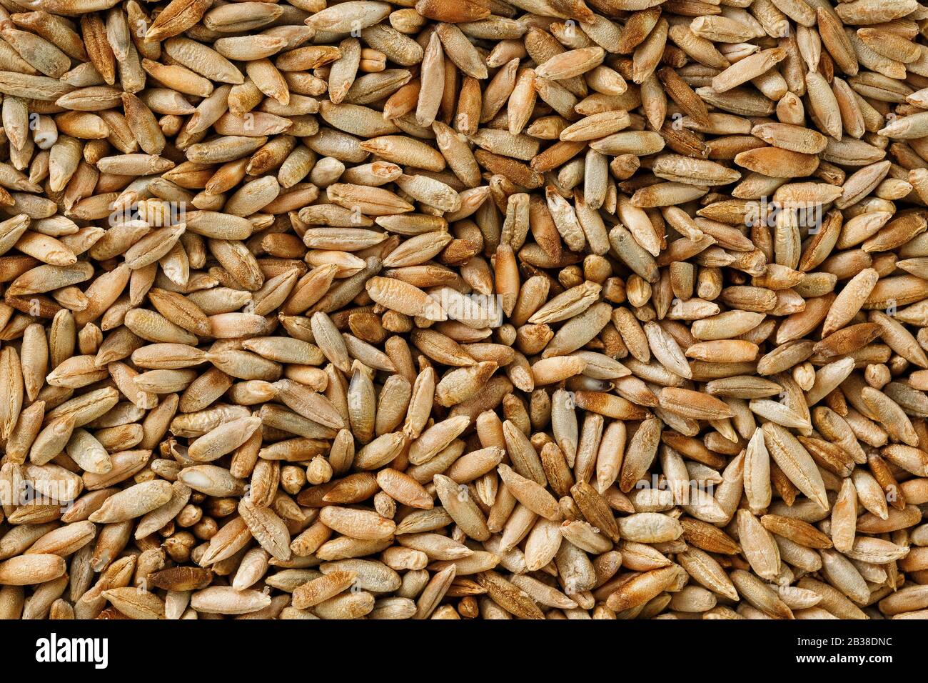 Natural oat grains background, closeup. vegetarian food Stock Photo - Alamy