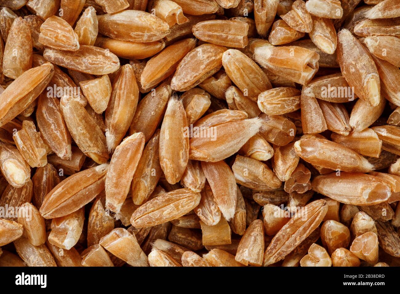 Natural background of a grain of cereal seeds, close-up Stock Photo - Alamy