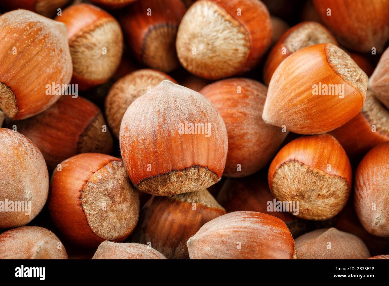 Dried unshelled hazelnuts seeds of Whole nuts as background Stock Photo ...