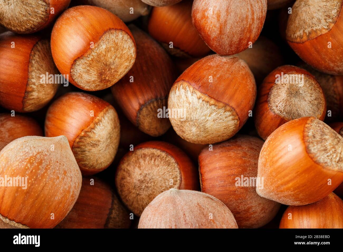 Dried unshelled hazelnuts seeds of Whole nuts as background Stock Photo ...