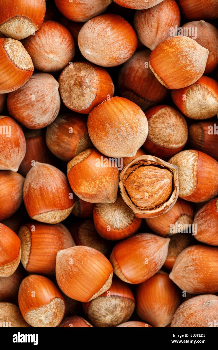 Hazelnuts. Stack of hazelnuts. Food background. Hazelnut background ...