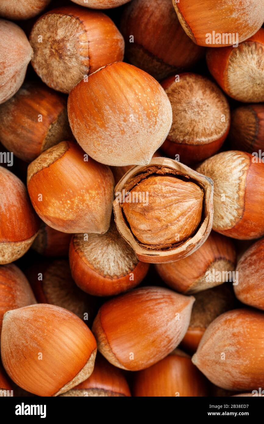Hazelnuts. Stack of hazelnuts. Food background. Hazelnut background ...