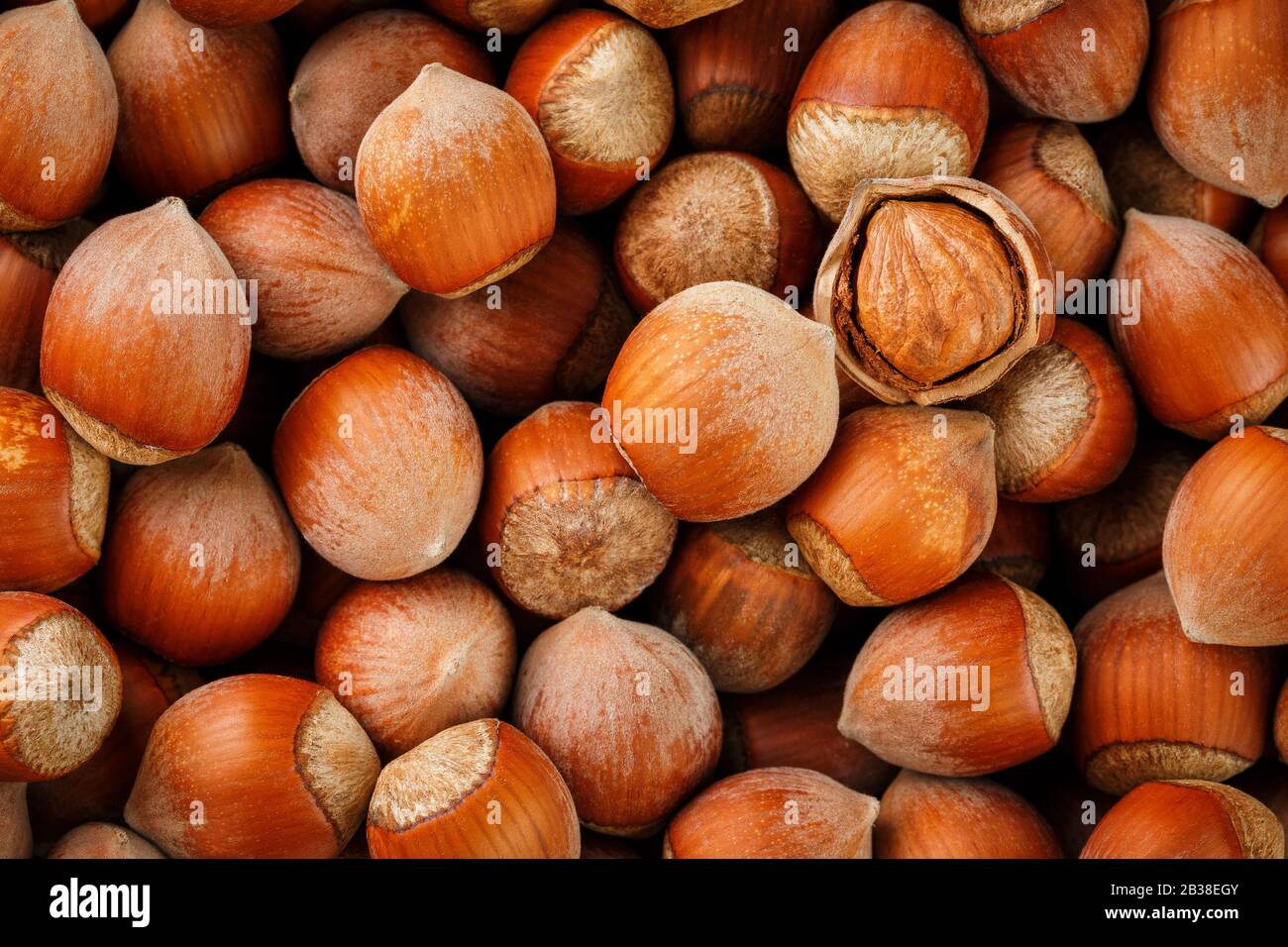 Hazelnuts. Stack of hazelnuts. Food background. Hazelnut background ...