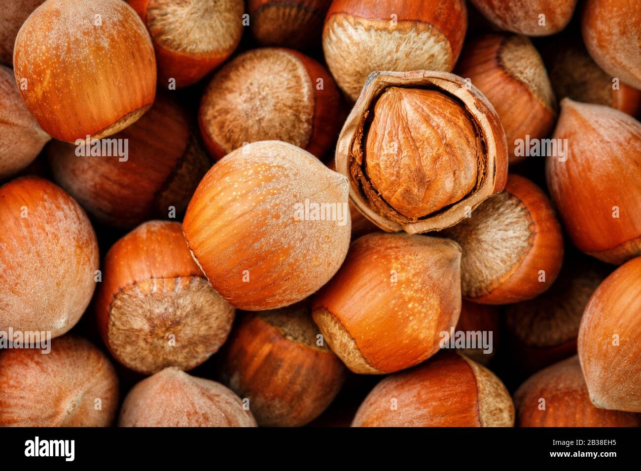 Hazelnuts. Stack of hazelnuts. Food background. Hazelnut background ...