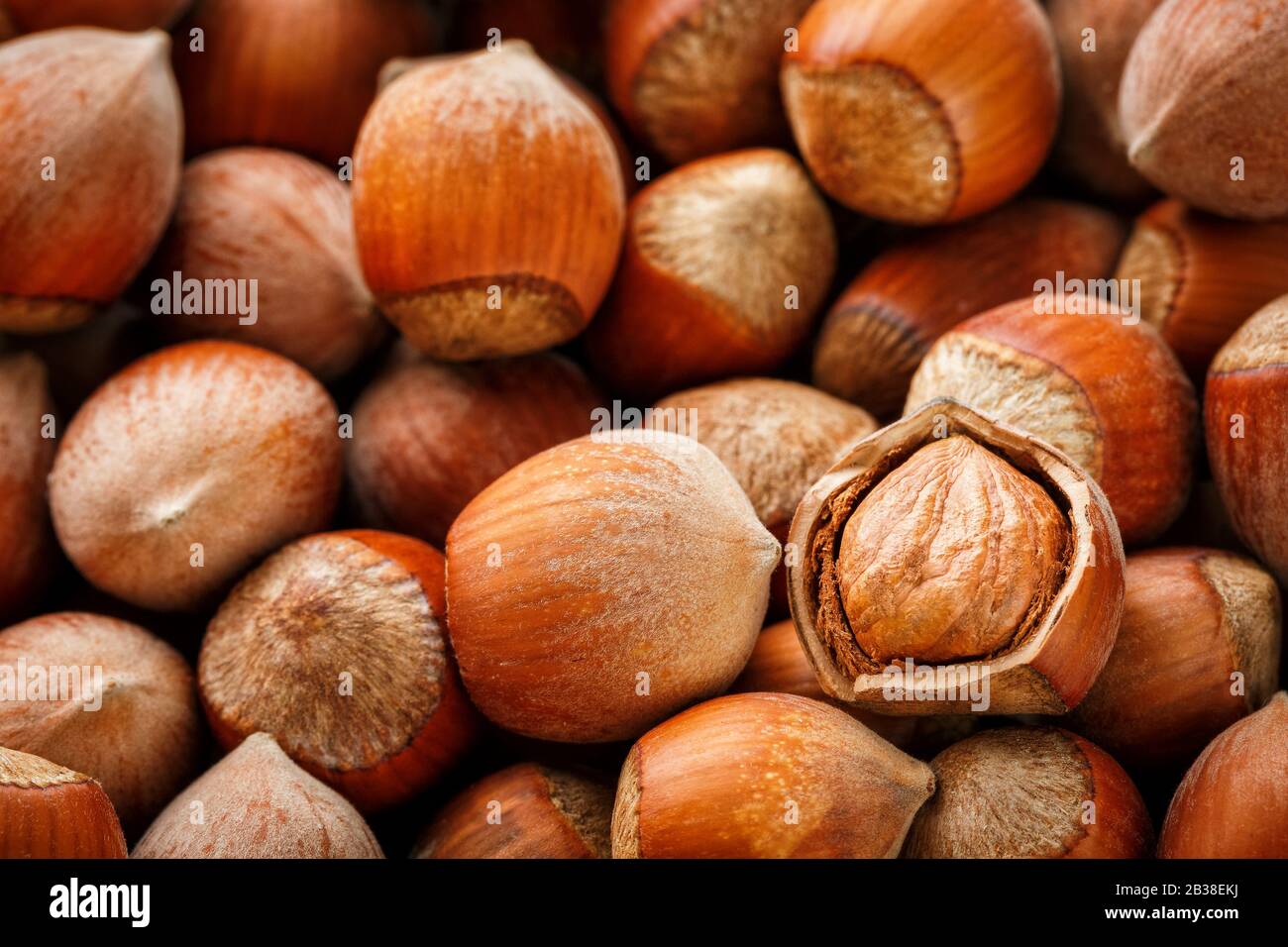 Hazelnuts. Stack of hazelnuts. Food background. Hazelnut background ...