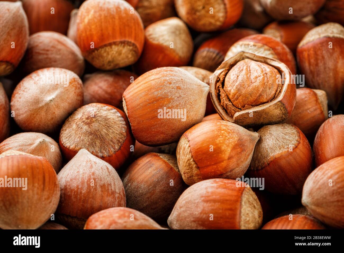 Hazelnuts. Stack of hazelnuts. Food background. Hazelnut background ...