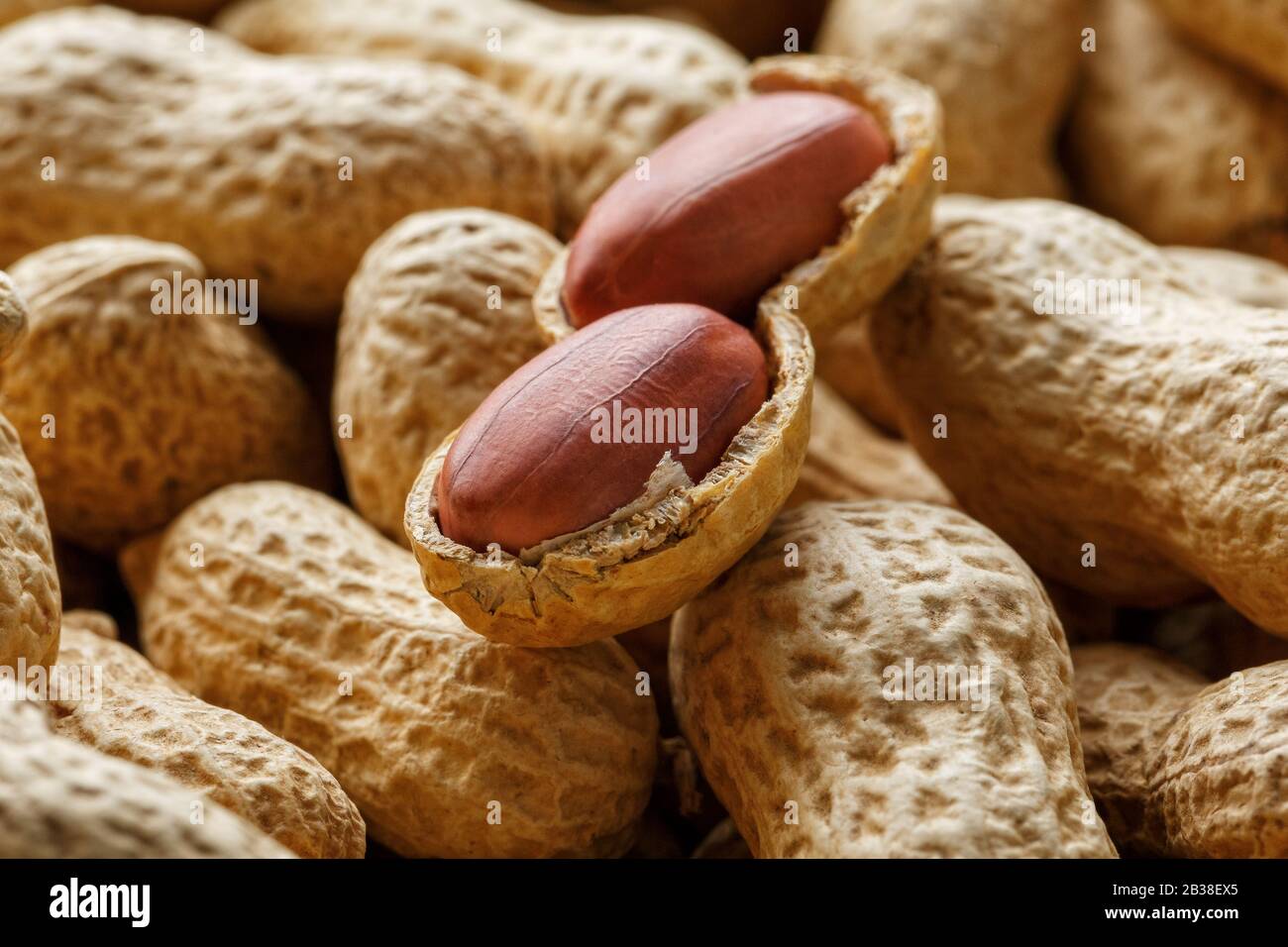 Peeled peanut on well peanuts. Peanuts, for background or textures ...