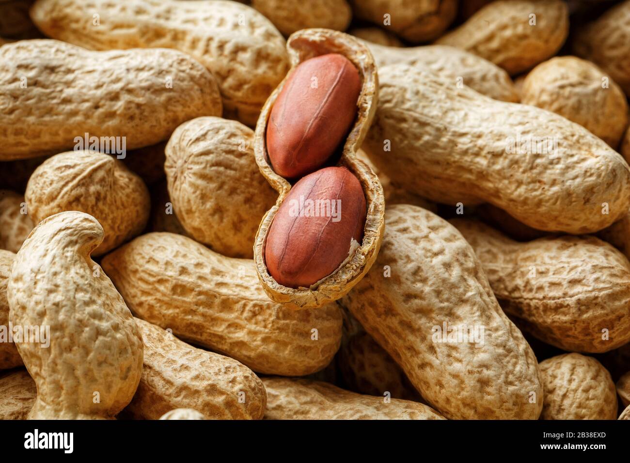 Peeled peanut on well peanuts. Peanuts, for background or textures ...