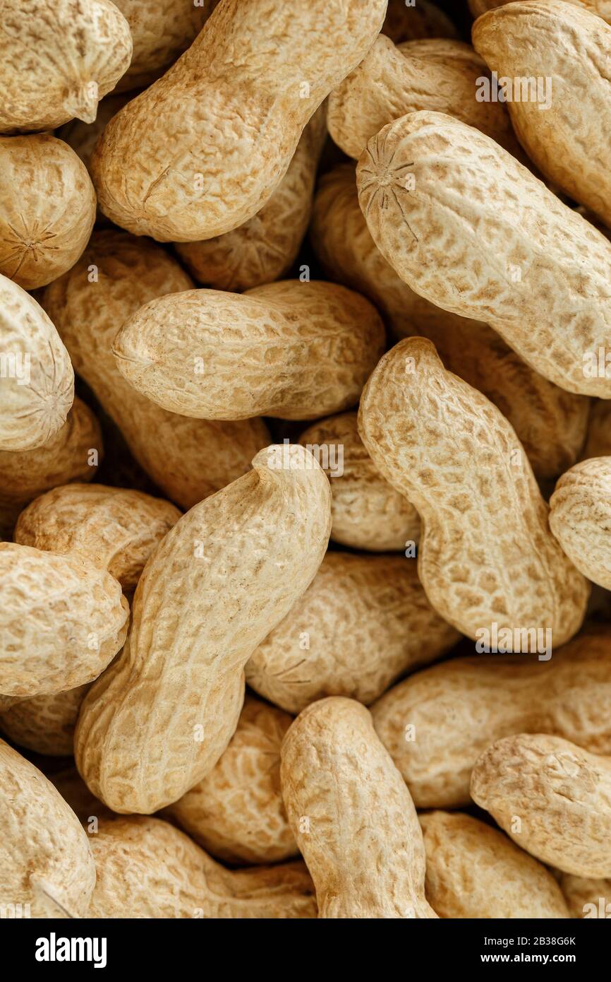Uncleaned inshell peanuts. Peanuts, for background or textures Stock ...
