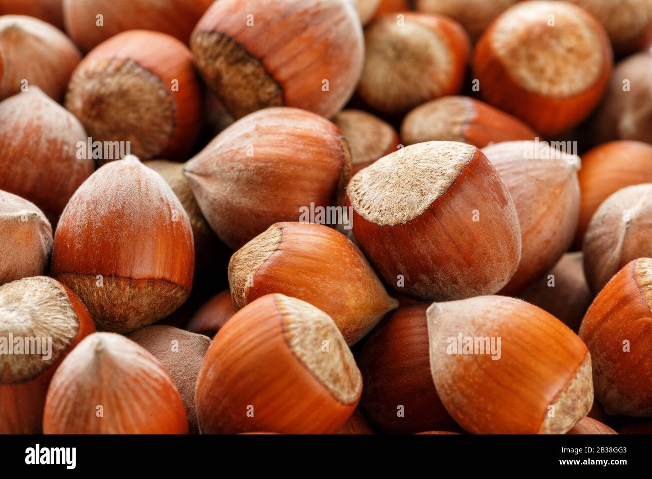 Dried unshelled hazelnuts seeds of Whole nuts as background Stock Photo ...