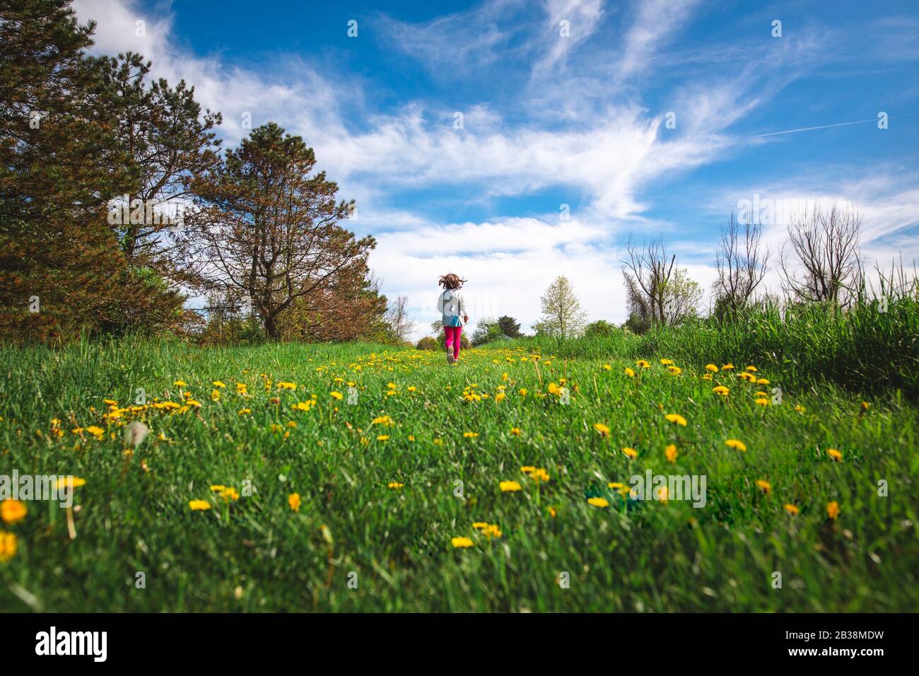 Children running in field flowers hi-res stock photography and images ...