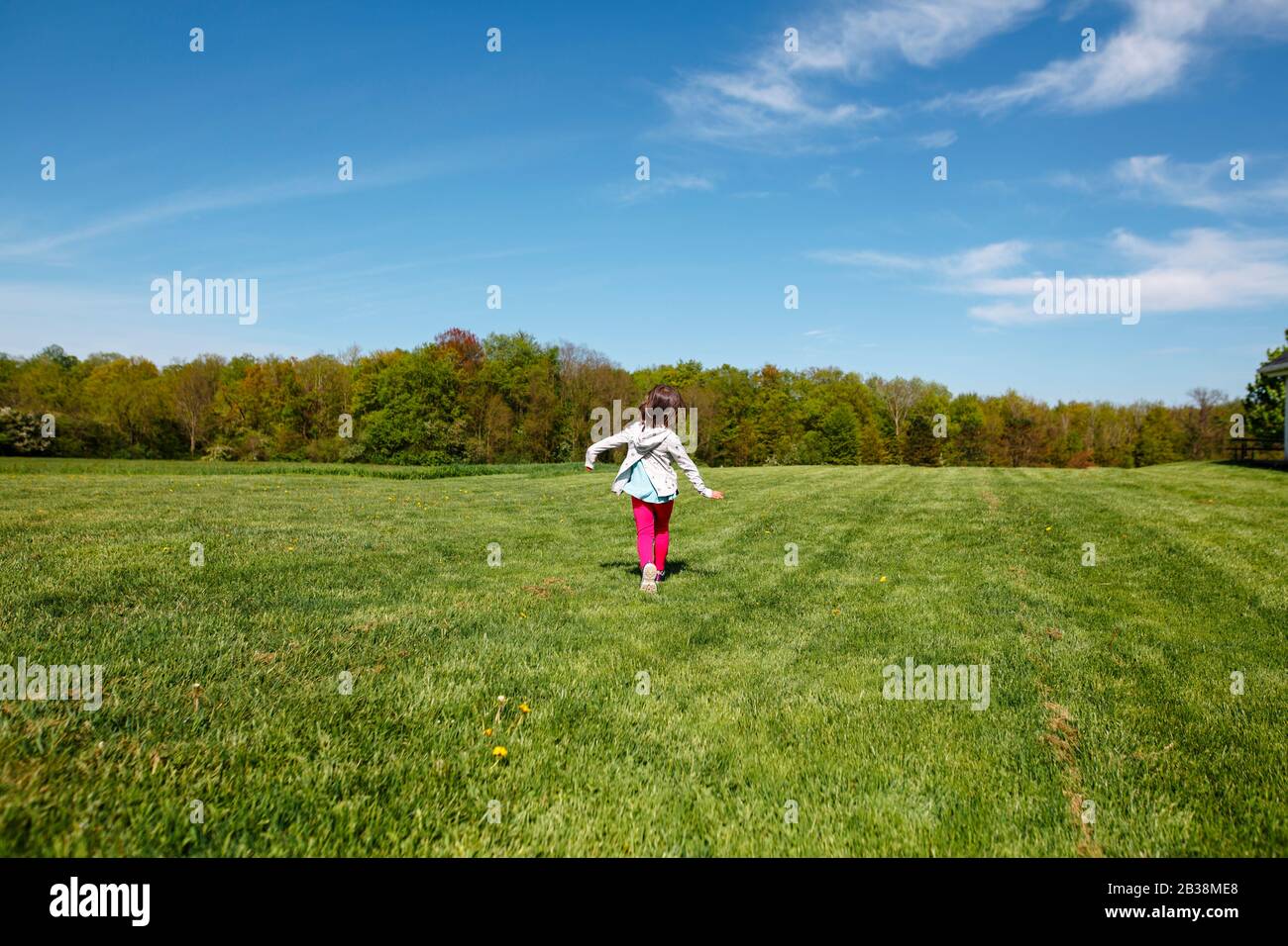 Children running in field flowers hi-res stock photography and images ...