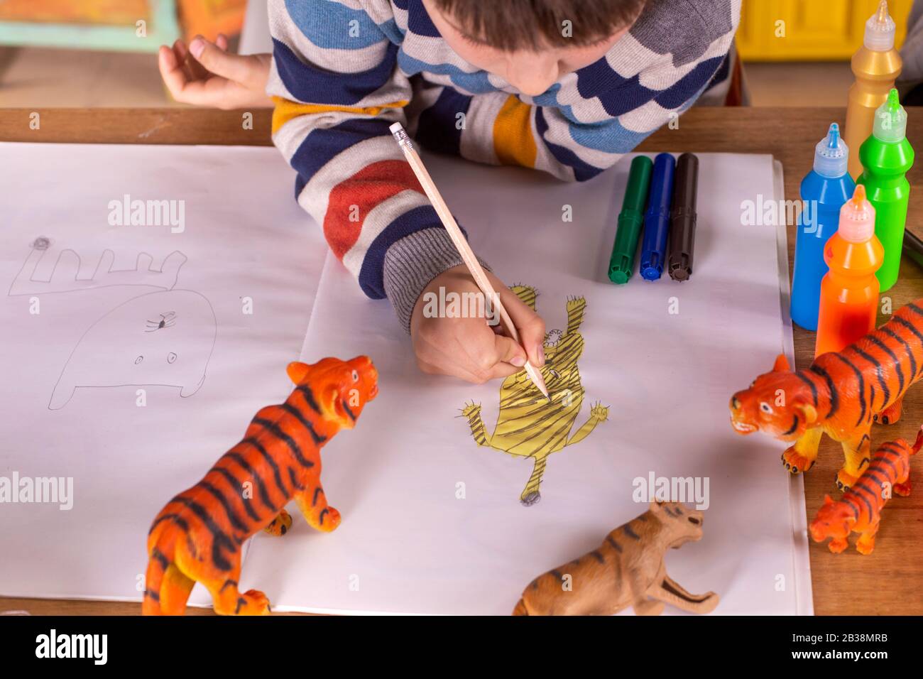 Child drawing tiger hi-res stock photography and images - Alamy