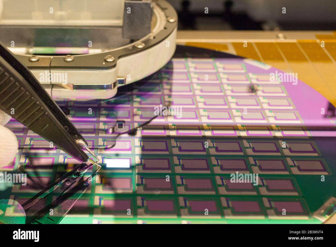 Probes in hand hi-res stock photography and images - Alamy