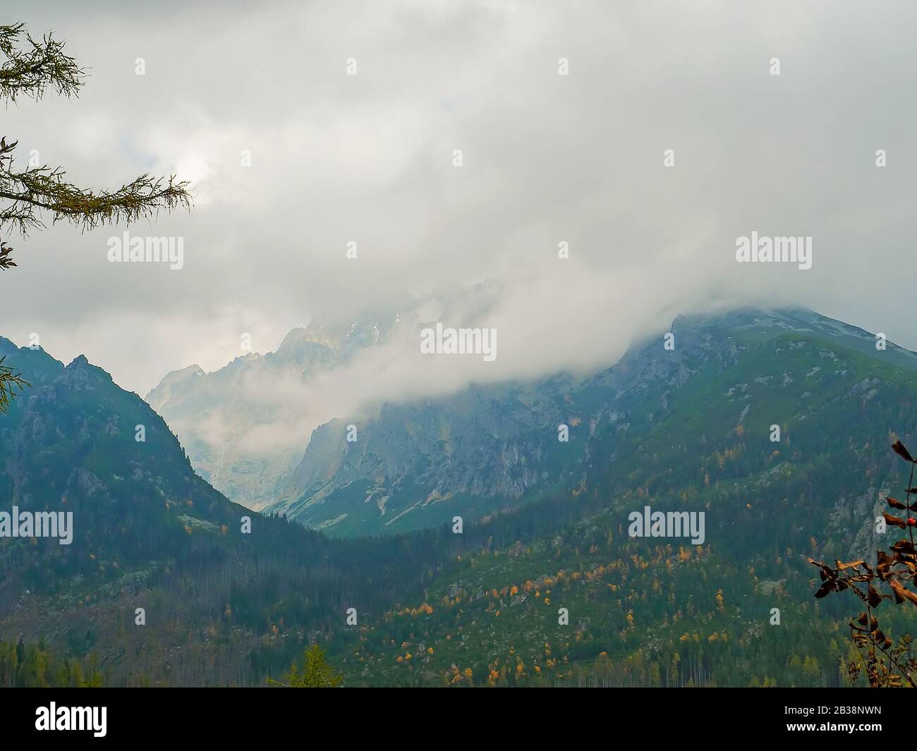 Tatra peaks in clouds hi-res stock photography and images - Alamy