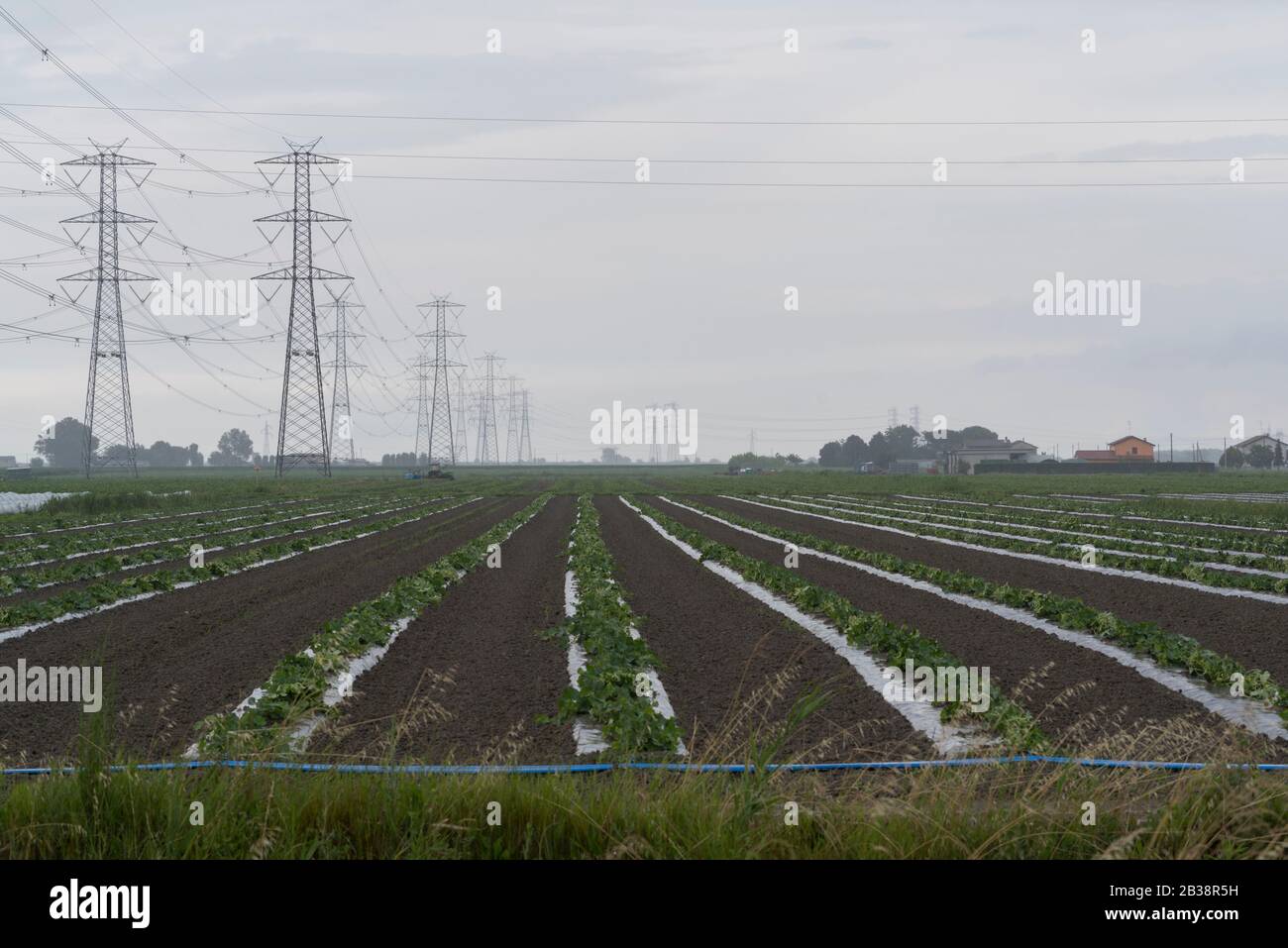 travel on delta del Po river country Stock Photo - Alamy
