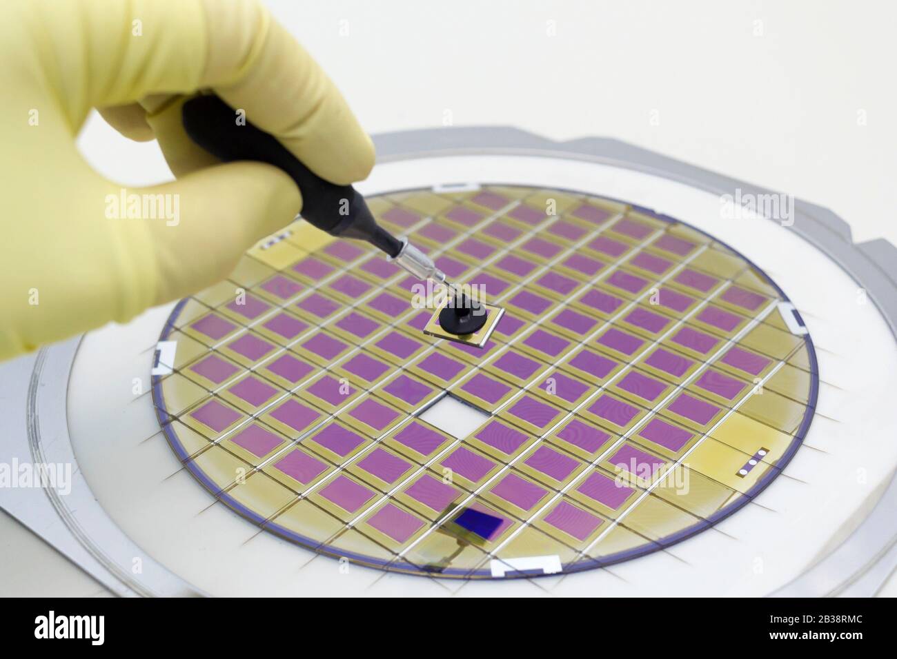 Silicon wafer with microchips, fixed in a holder with a steel frame on ...