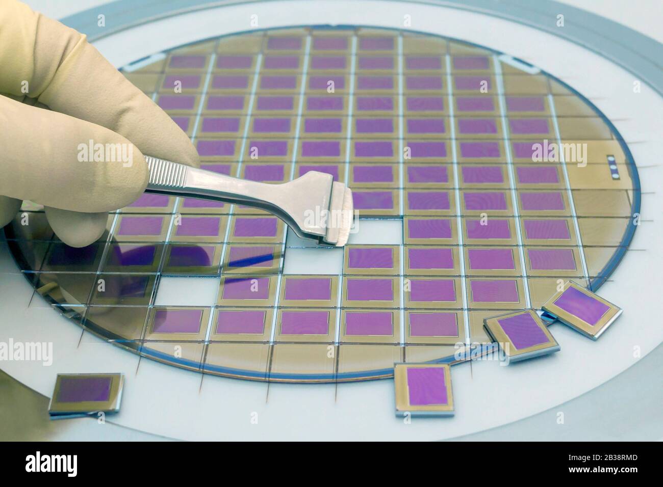 Silicon wafer with microchips, fixed in a holder with a steel frame on ...