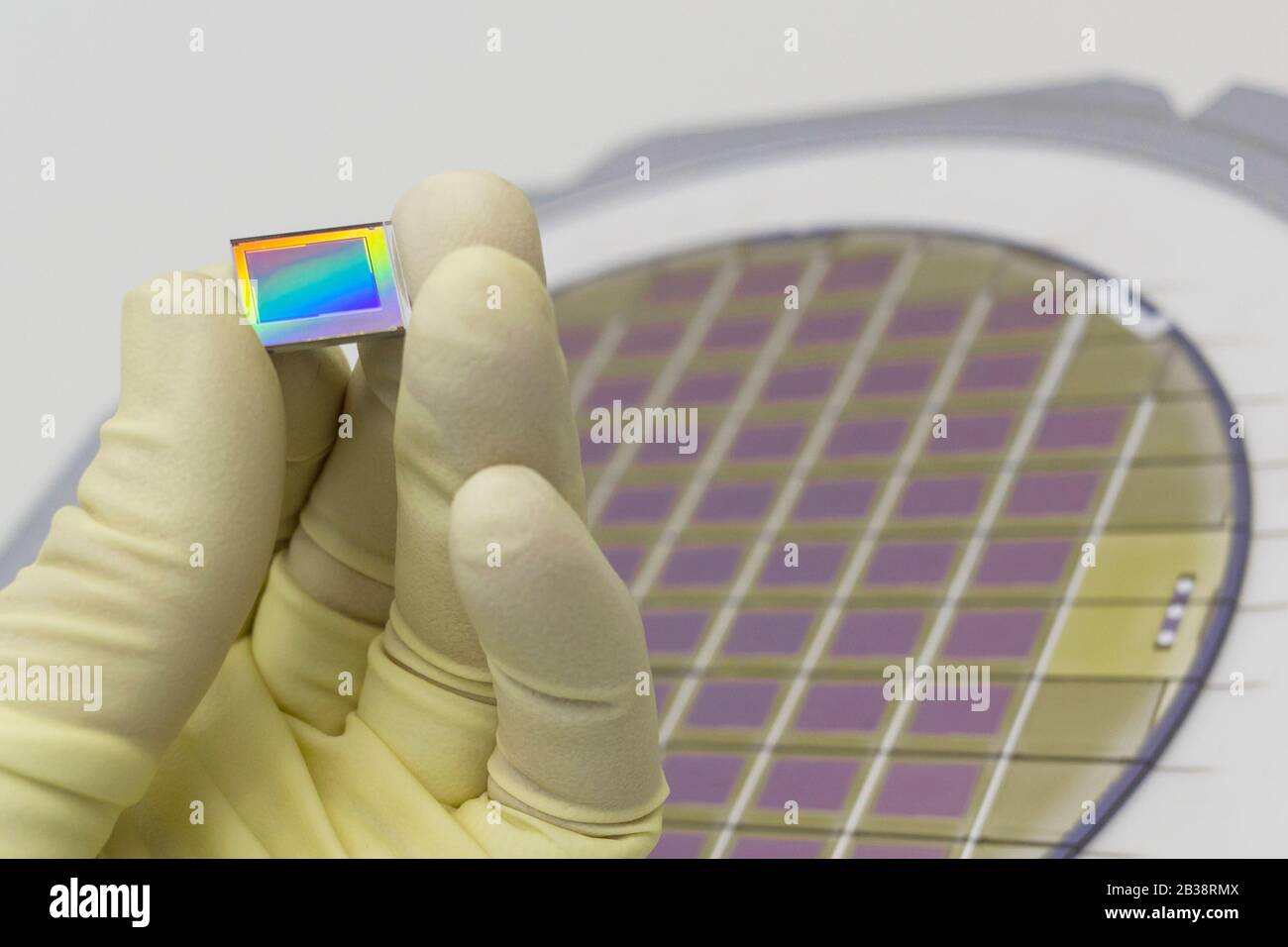 Polysilicon, silicon wafer production hi-res stock photography and ...